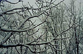 Send Us Your Stories About FireTacks – FireTacks®