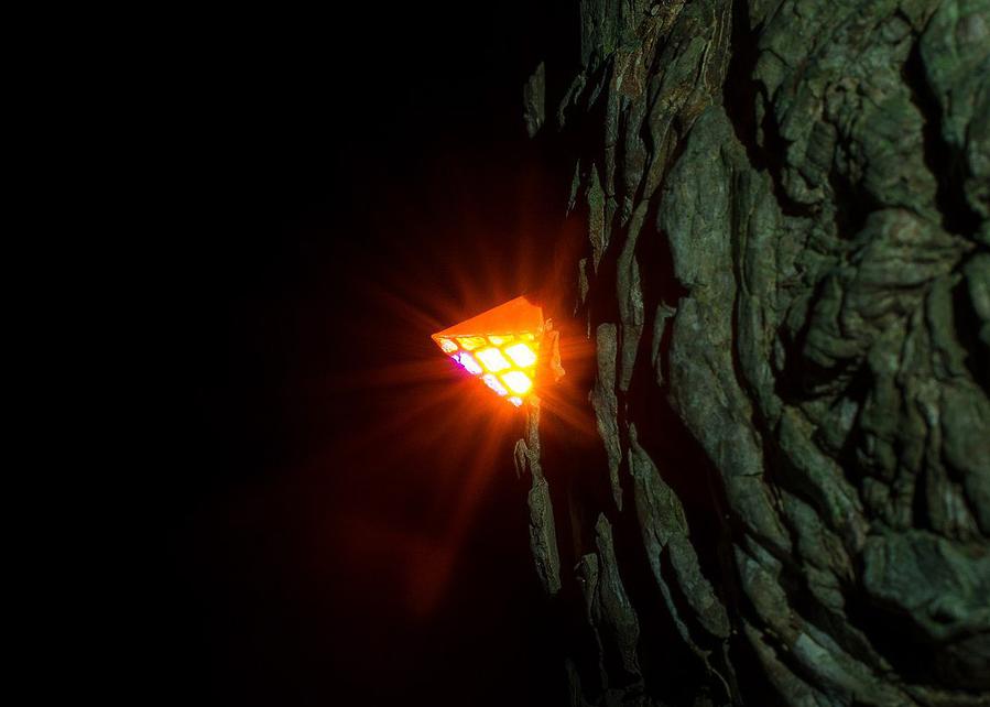 FireTacks™ | Reflective Trail Markers – FireTacks®