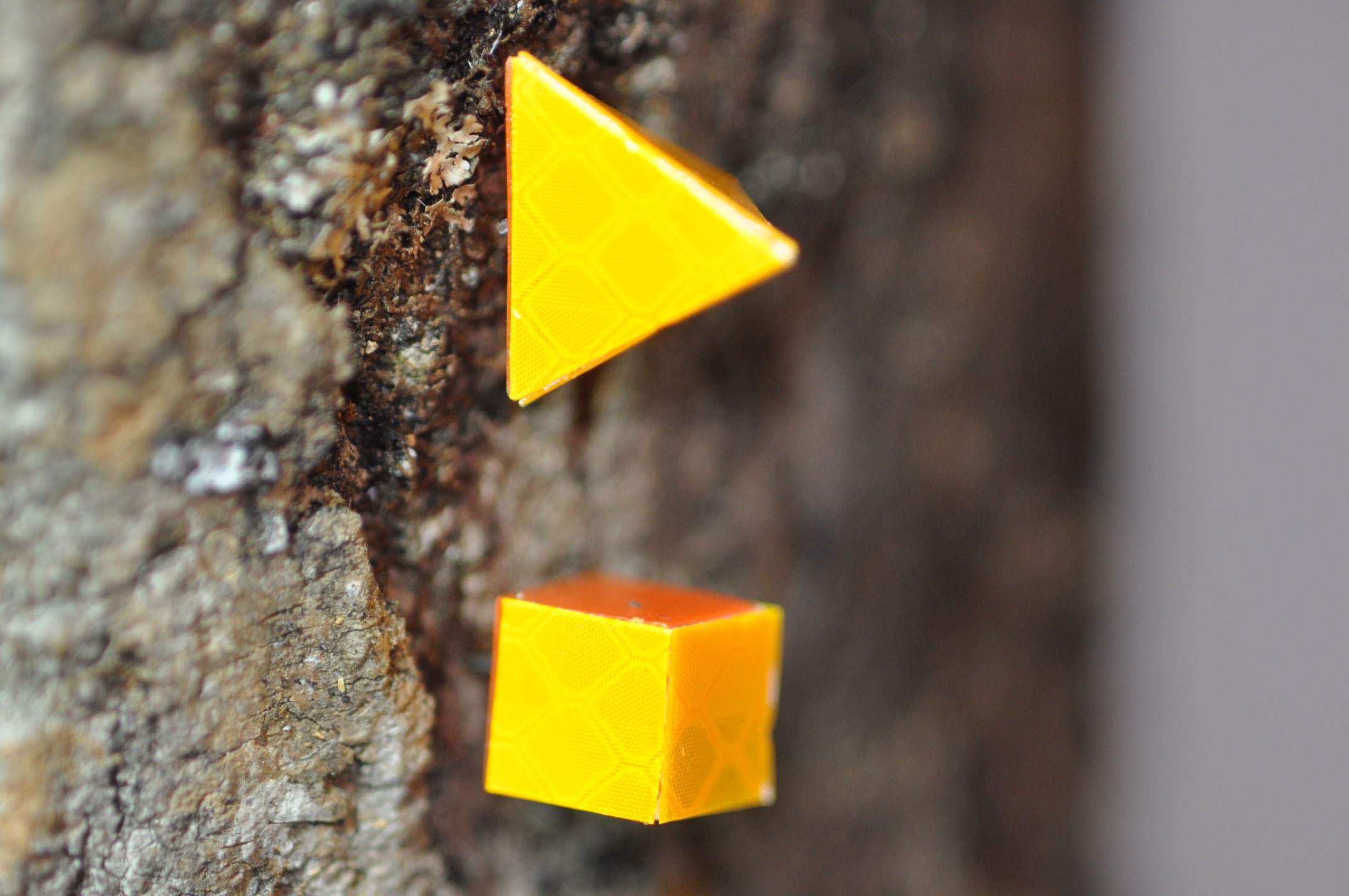 4D WildFire Close Out Seconds 3.99 – FireTacks®